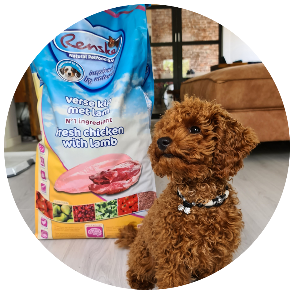 Renske Super Premium for dogs